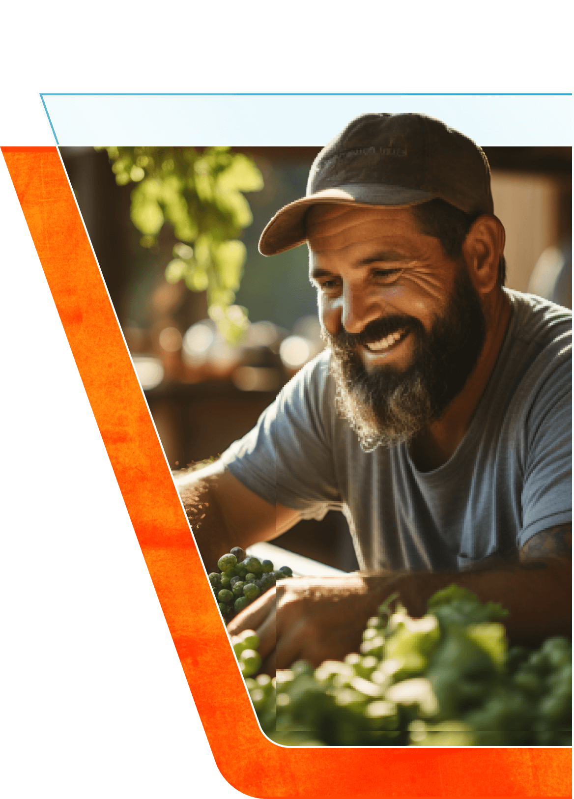 Virginia Business Entity Search